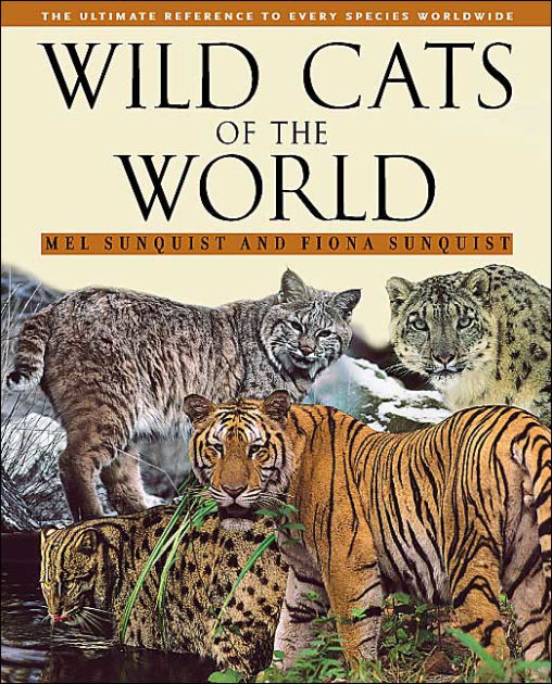 Wild Cats of the World by Mel Sunquist, Fiona Sunquist, Hardcover ...