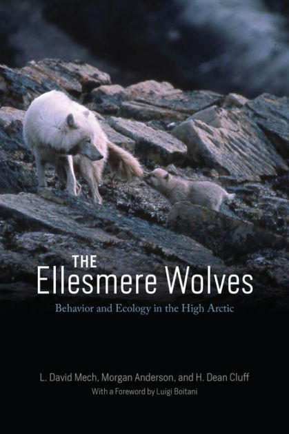 The Ellesmere Wolves: Behavior and Ecology in the High Arctic by L ...