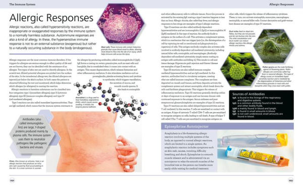 Illustrated Human Anatomy: The Authoritative Visual Guide to the Human ...