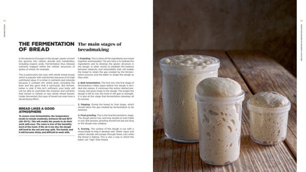 Fermentation: History, Uses and Recipes by Mathilde Fenestraz, Stephane ...