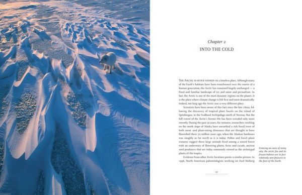 Arctic Fox: Life at the Top of the World by Garry Hamilton, Paperback ...