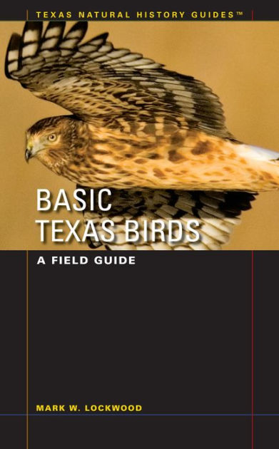 Basic Texas Birds: A Field Guide by Mark W. Lockwood | eBook | Barnes ...