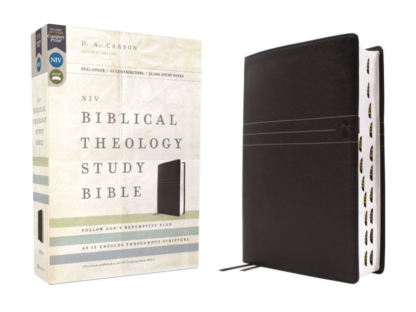 NIV, Biblical Theology Study Bible (Trace the Themes of Scripture ...