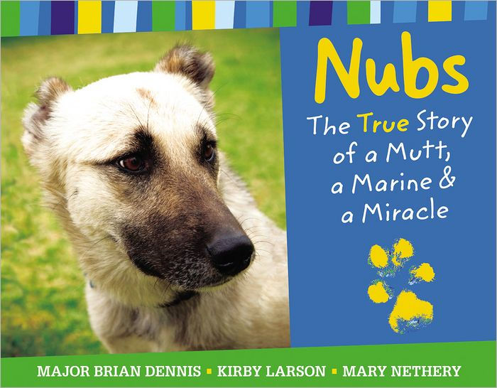 Nubs: The True Story of a Mutt, a Marine & a Miracle by Brian Dennis ...