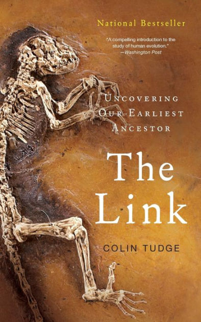 The Link: Uncovering Our Earliest Ancestor by Colin Tudge, Paperback ...