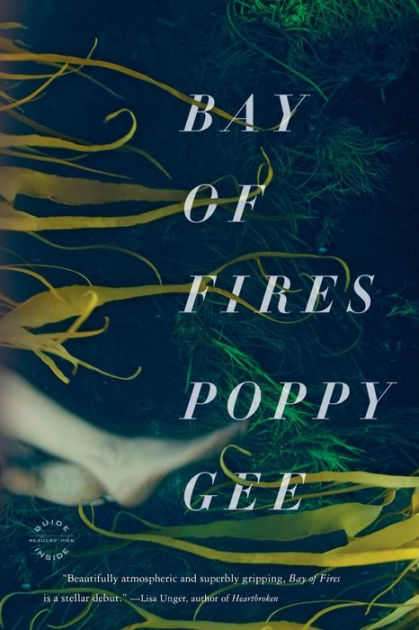 Bay of Fires: A Novel by Poppy Gee, Paperback | Barnes & Noble®