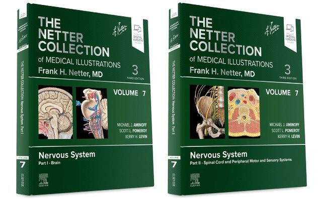 The Netter Collection of Medical Illustrations: Nervous System Package ...