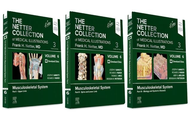 The Netter Collection of Medical Illustrations: Musculoskeletal System ...