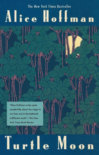 Turtle Moon by Alice Hoffman, Paperback | Barnes & Noble®