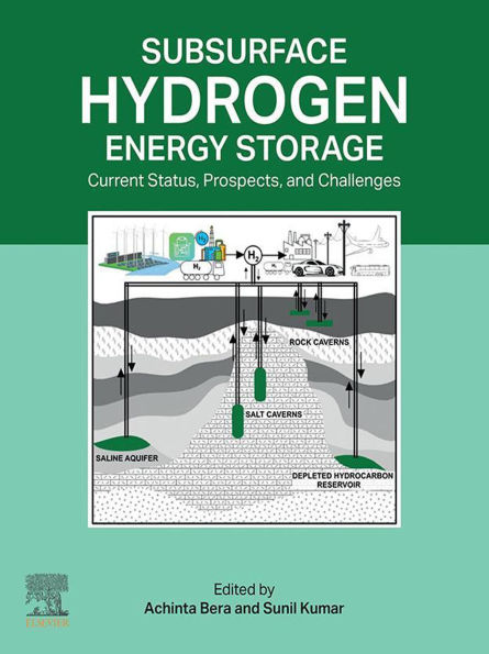 Subsurface Hydrogen Energy Storage: Current Status, Prospects, and ...