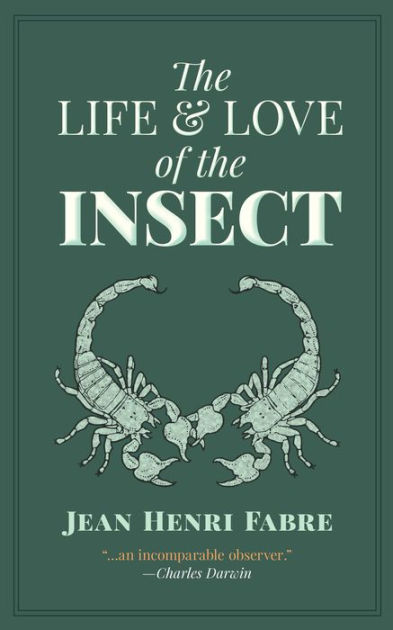 The Life and Love of the Insect by Jean-Henri Fabre, Paperback | Barnes ...