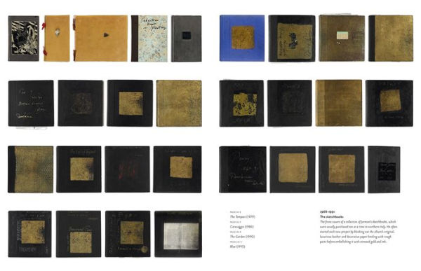 Derek Jarman's Sketchbooks by Stephen Farthing, Hardcover | Barnes & Noble®