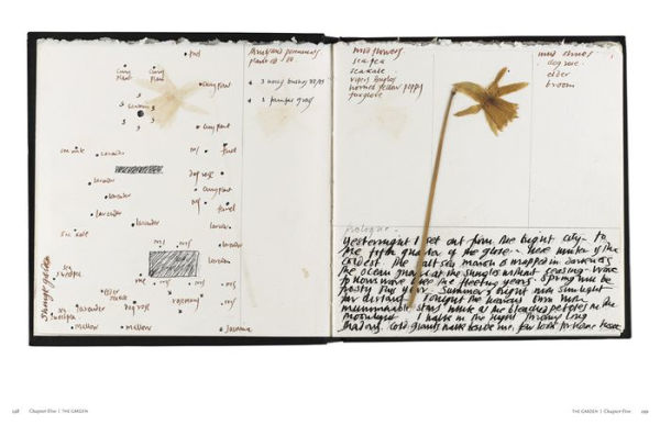 Derek Jarman's Sketchbooks by Stephen Farthing, Hardcover | Barnes & Noble®