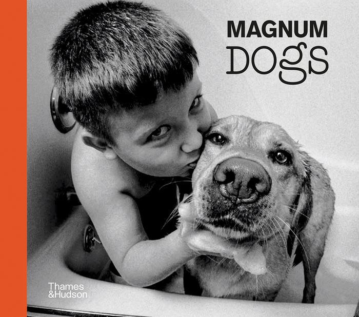 Magnum Dogs by Magnum Photos, Hardcover | Barnes & Noble®