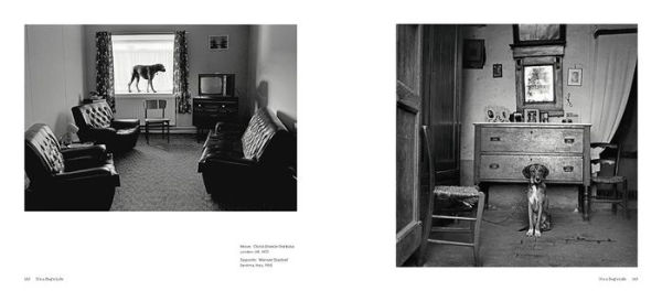 Magnum Dogs by Magnum Photos, Hardcover | Barnes & Noble®