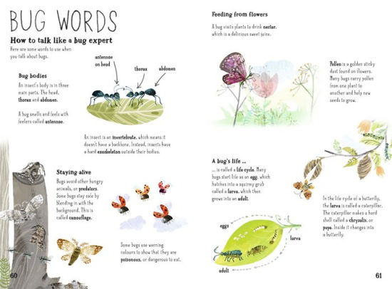 Big Book of Bugs by Yuval Zommer, Hardcover | Barnes & Noble®