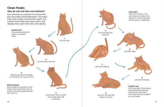 Why Do Cats Meow?: Curious Questions About Your Favorite Pets by Lily ...