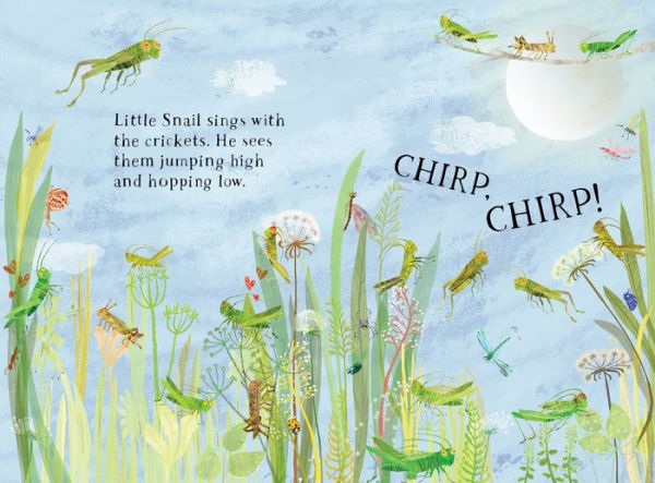 Little Snail's Book of Bugs by Yuval Zommer, Board Book | Barnes & Noble®