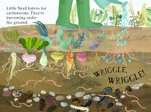 Little Snail's Book of Bugs by Yuval Zommer, Board Book | Barnes & Noble®