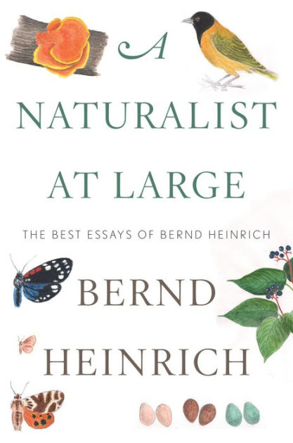 A Naturalist at Large: The Best Essays of Bernd Heinrich by Bernd ...
