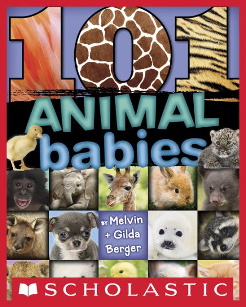 101 Animal Babies by Melvin Berger, Gilda Berger | eBook (NOOK Kids ...