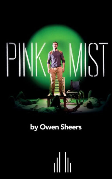 Pink Mist by Owen Sheers, Paperback | Barnes & Noble®