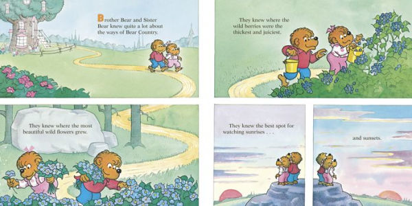 Let's Talk About Money (Berenstain Bears) by Stan Berenstain, Jan ...