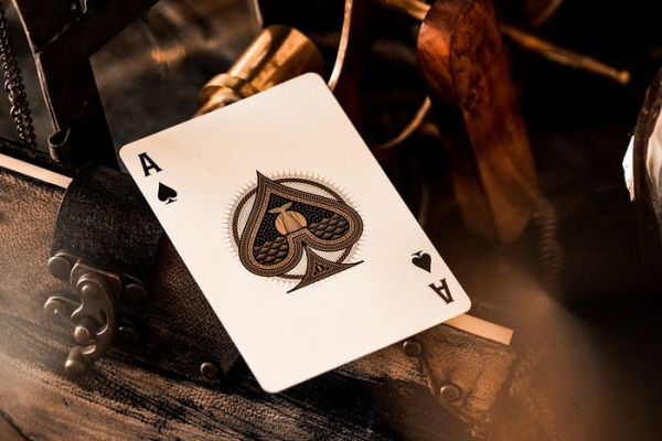 Navigator Playing Cards by theory11 | Barnes & Noble®