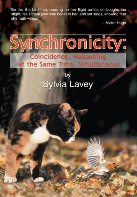 Synchronicity: Coincidence, Happening at the Same Time, Simultaneous by ...