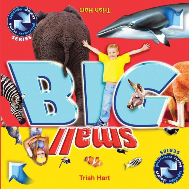 BIG and SMALL: A concept picture book for children by Trish Hart ...