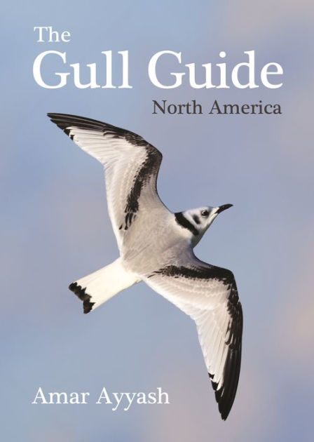 The Gull Guide: North America by Amar Ayyash, Paperback | Barnes & Noble®