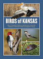Birds of Kansas by Max C. Thompson, Bob Gress, Chuck Otte, Hardcover ...