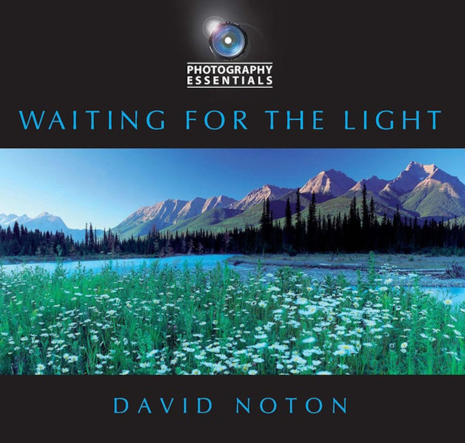 Waiting for the Light by David Noton | eBook | Barnes & Noble®