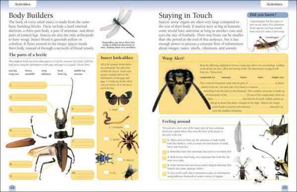 Eyewitness Workbooks Insect by DK, Paperback | Barnes & Noble®