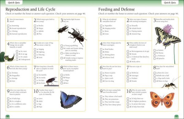 Eyewitness Workbooks Insect by DK, Paperback | Barnes & Noble®