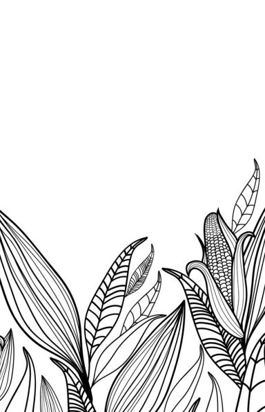 The Boy From Two Worlds by Jason Offutt, Paperback | Barnes & Noble®