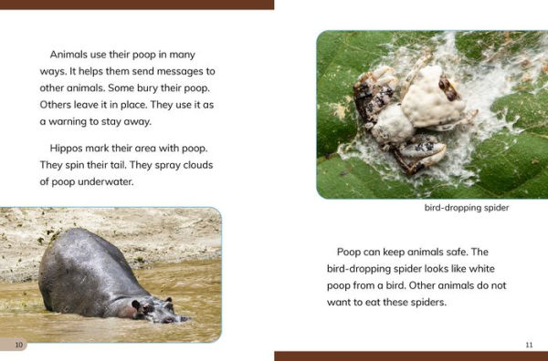 Why Do We Need Poop? by Laura K. Murray, Paperback | Barnes & Noble®