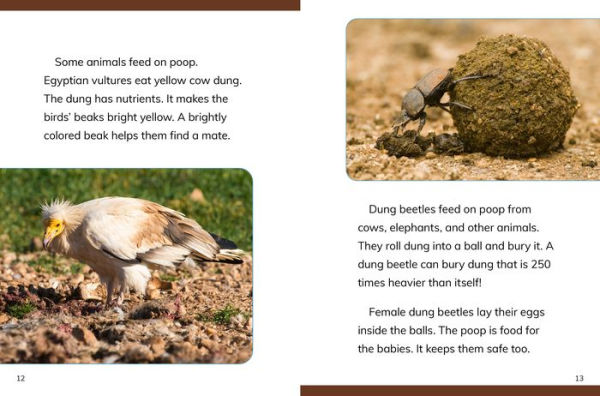 Why Do We Need Poop? by Laura K. Murray, Paperback | Barnes & Noble®