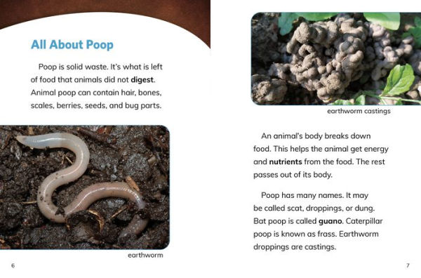 Why Do We Need Poop? by Laura K. Murray, Paperback | Barnes & Noble®