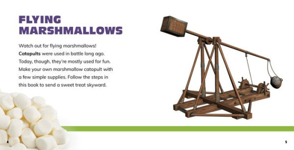 Make Your Own Marshmallow Catapult by Mari Bolte, Paperback | Barnes ...