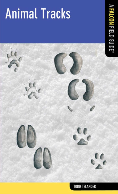 Animal Tracks: A Falcon Field Guide by Todd Telander | eBook | Barnes ...
