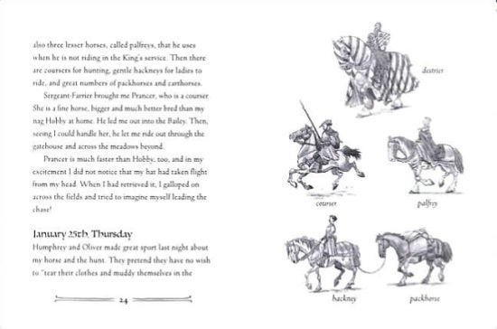 Castle Diary: The Journal of Tobias Burgess by Richard Platt, Chris ...