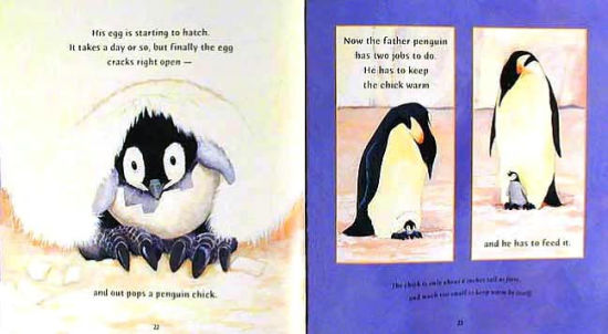 The Emperor's Egg (Read and Wonder Series) by Martin Jenkins, Jane ...