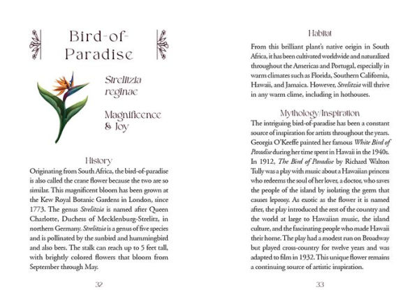 The Flowerwise Oracle: Empowerment through the Ancient Wisdom of the ...