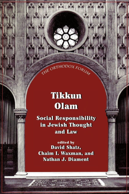 Tikkun Olam: Social Responsibility in Jewish Thought and Law by David ...