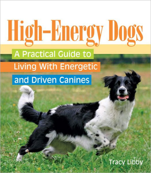 High-Energy Dogs by Tracy Libby | eBook | Barnes & Noble®