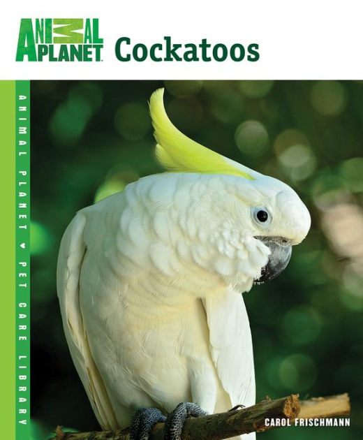 Cockatoos by Carol Frischmann | eBook | Barnes & Noble®