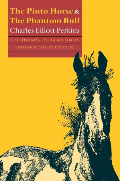 The Pinto Horse and The Phantom Bull by Charles Elliott Perkins ...