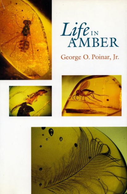 Life in Amber by George O. Poinar Jr, Hardcover | Barnes & Noble®