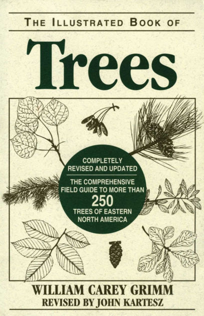 Illustrated Book of Trees: The Comprehensive Field Guide to More than ...